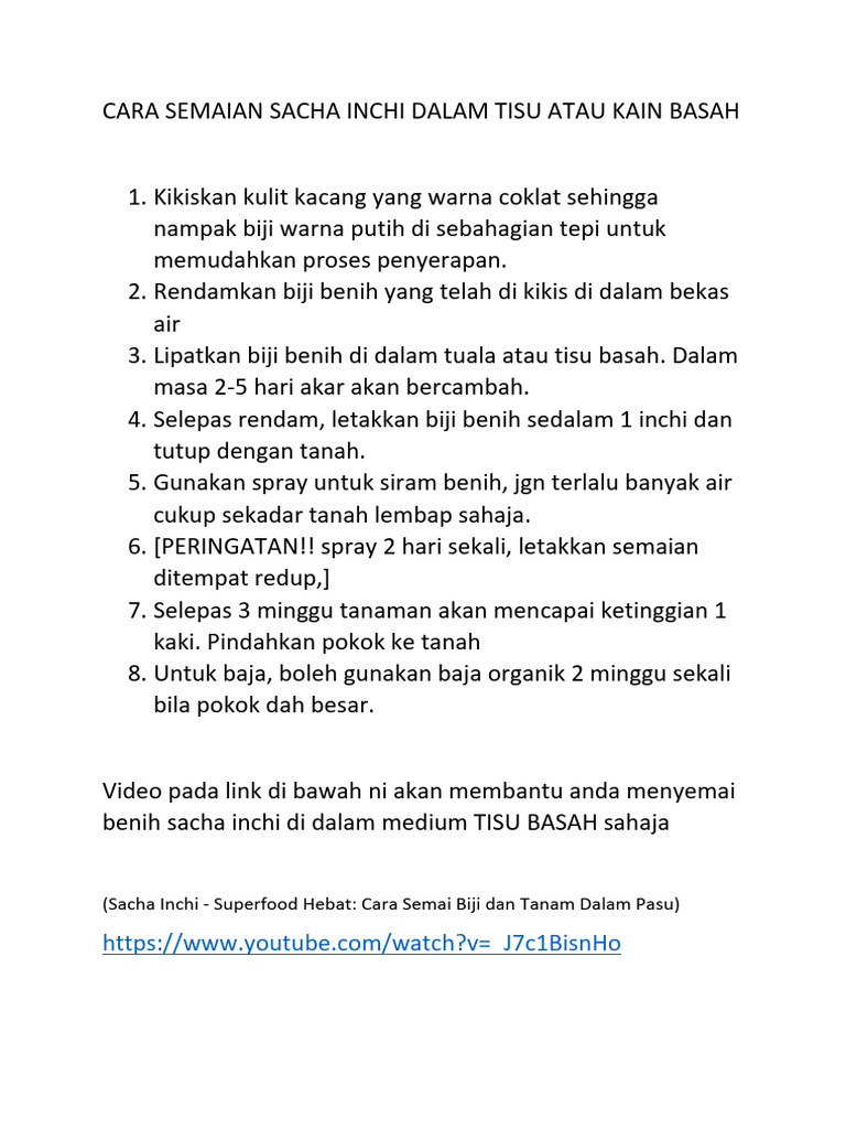 Cara Semaian Sacha Inchi Dalam Tisu Atau Kain Basah | PDF