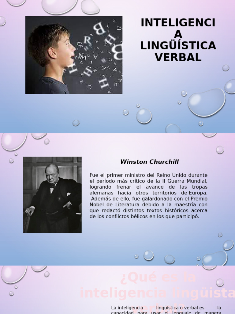 Inteligencia Lingüística Verbal | PDF