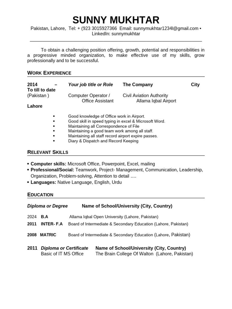 CV Sunny Mukhtar | PDF