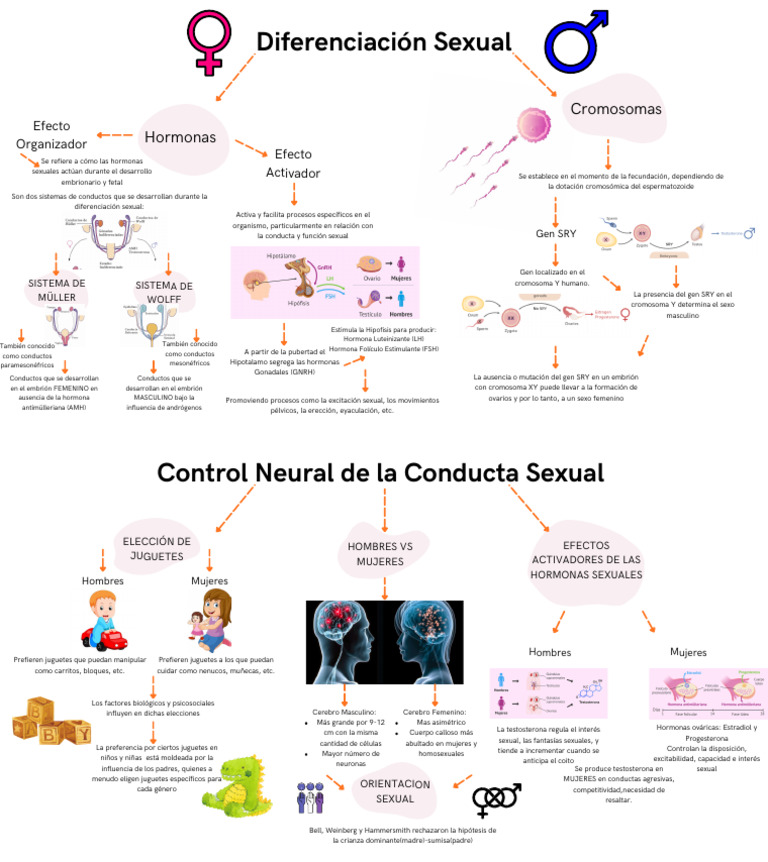 Conductas Reproductoras | PDF