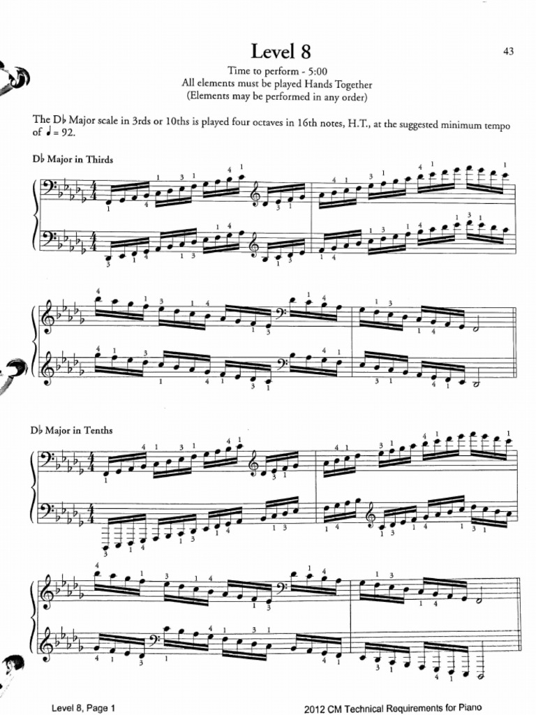 CM Level 8 Tech Req | PDF