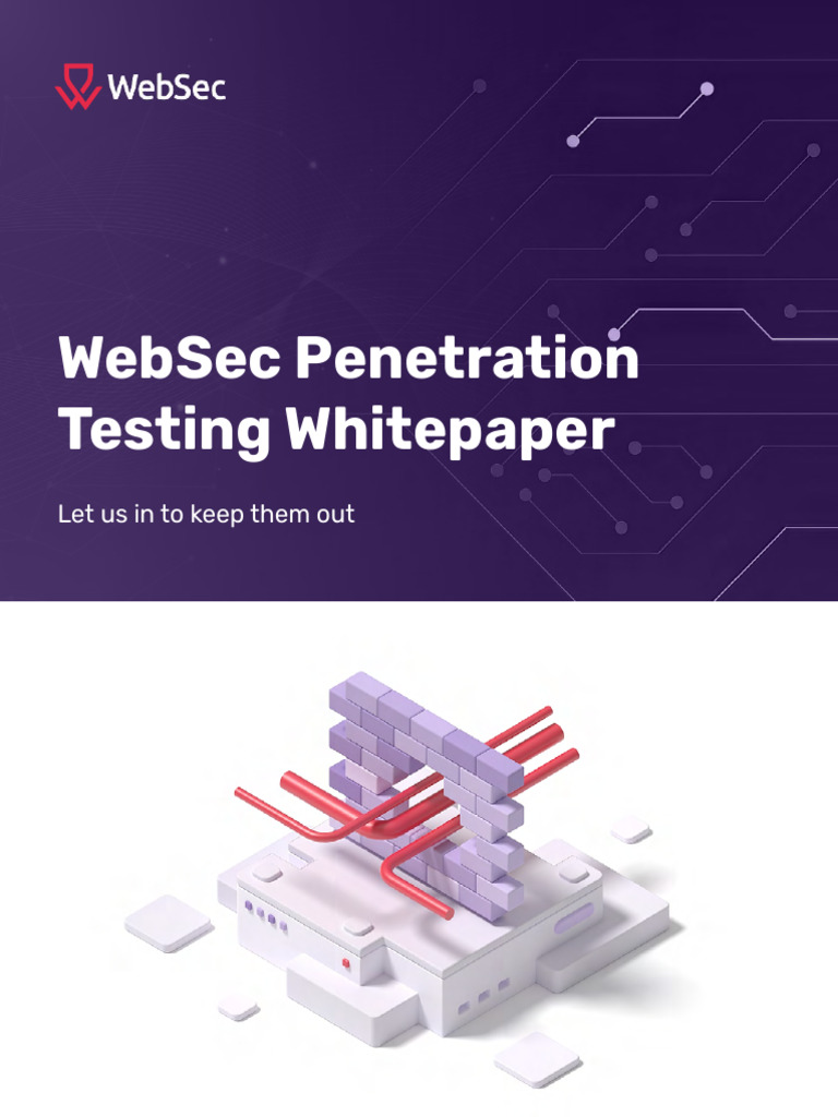 Pentesting Whitepaper English | PDF
