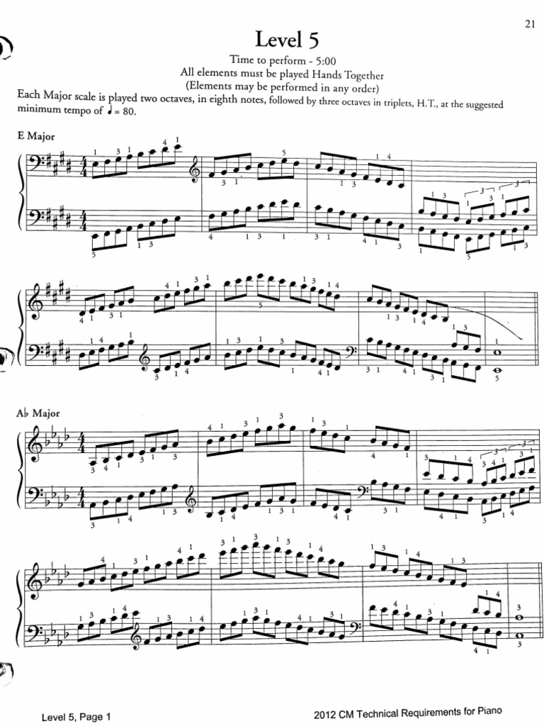 CM Level 5 Tech Req | PDF