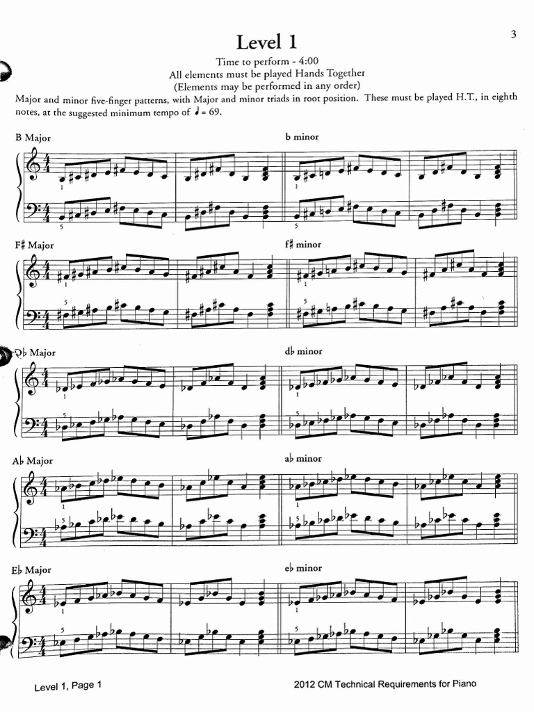 CM Level 1 Tech Req | PDF