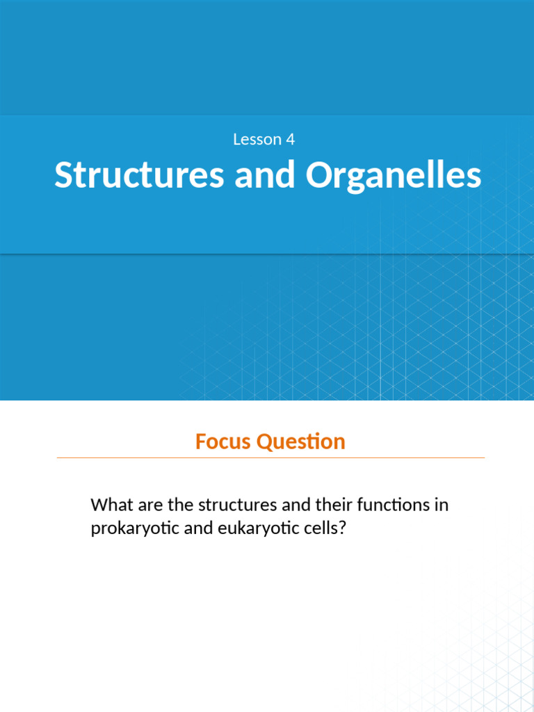 Structures and Organelles | PDF