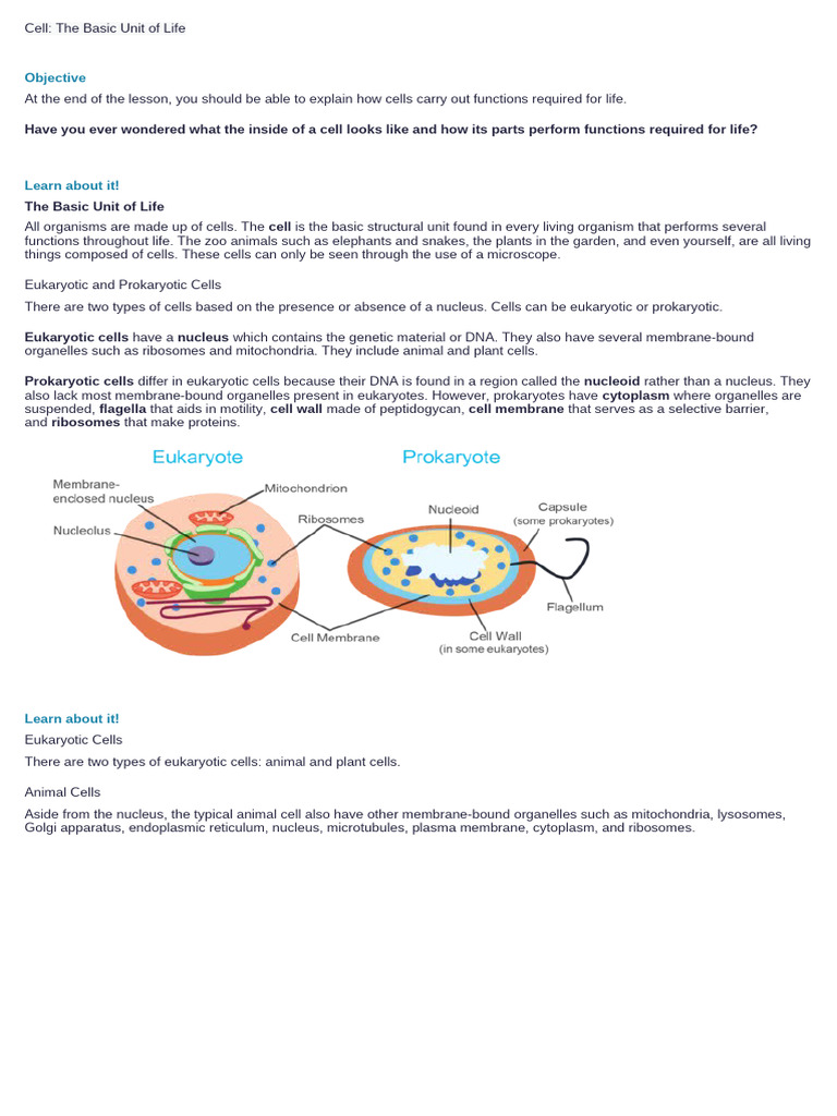 9bioenergetics, Earth and Life Science - Cell The Basic Unit of Life | PDF