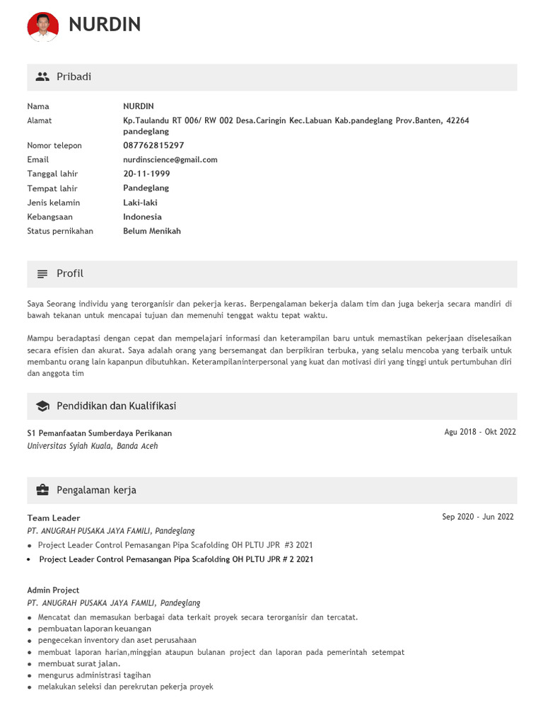 CV Nurdin | PDF