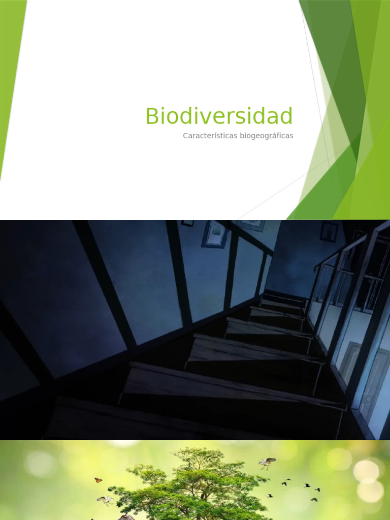 Bio Divers I Dad | PDF