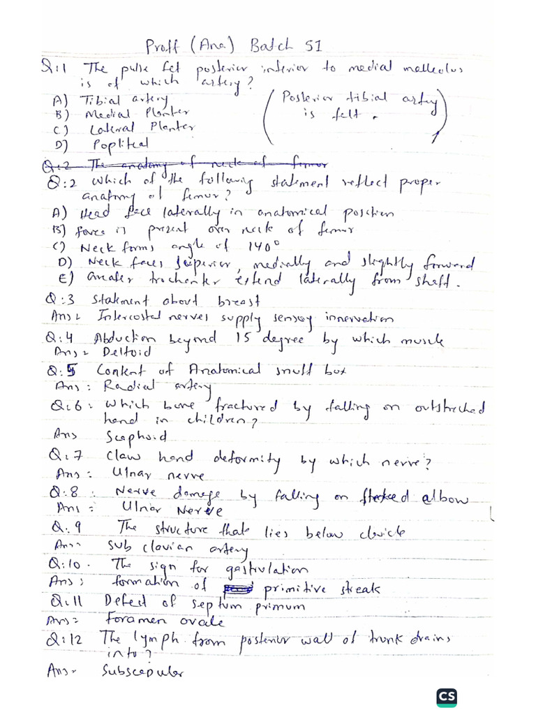 Ana Proff Batch 51 - by Saqib Memon | PDF | Technology & Engineering