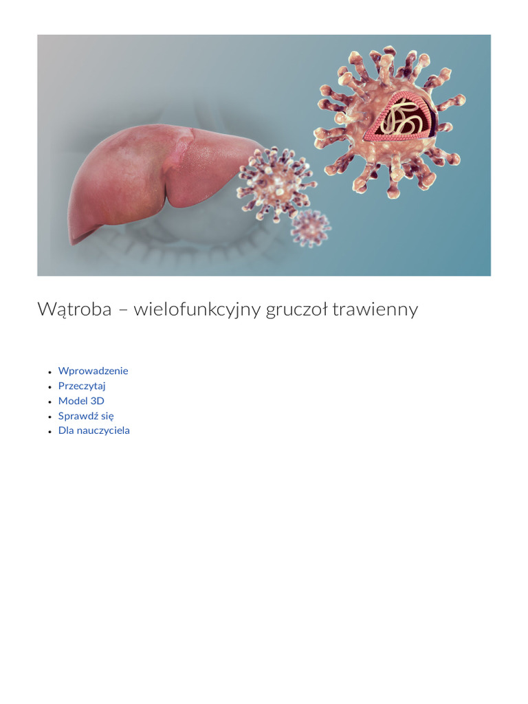 Watroba Wielofunkcyjny Gruczol Trawienny | PDF