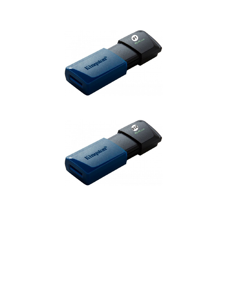 PEN DRIVE Numbering | PDF