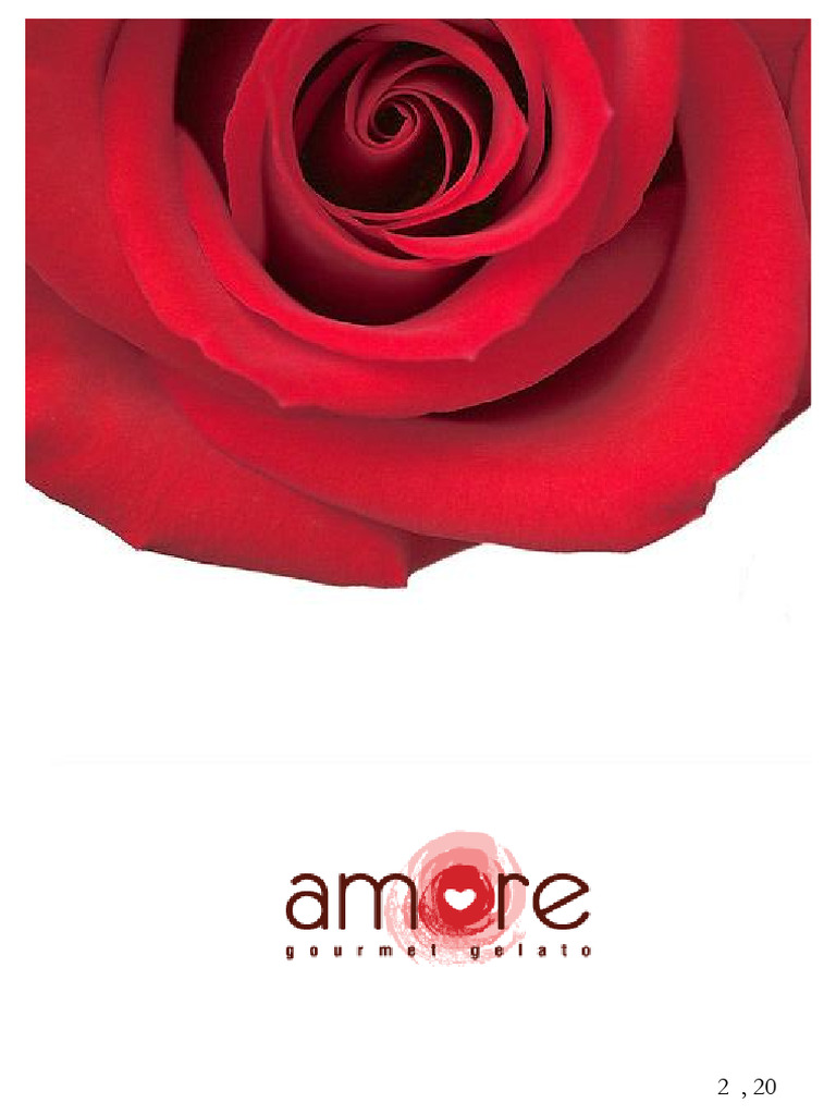AMORE Profile | PDF