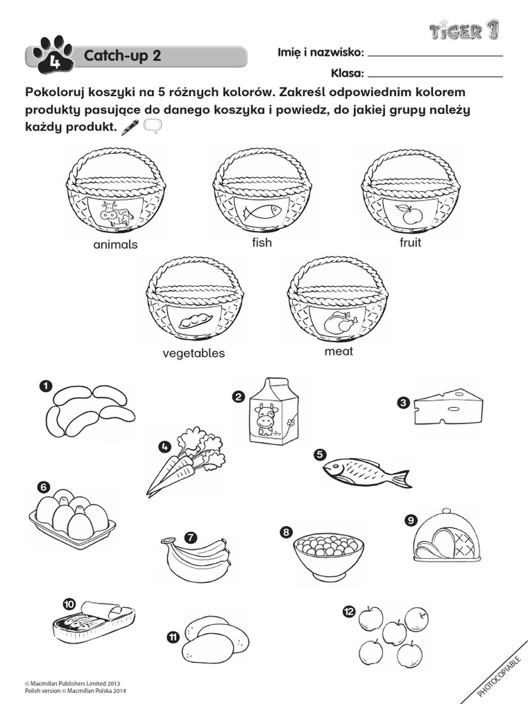 Tiger 1 TRF Unit 4 Catch-Up 2 | PDF