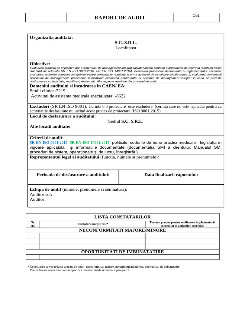 Raport Audit - Standarde Noi | PDF