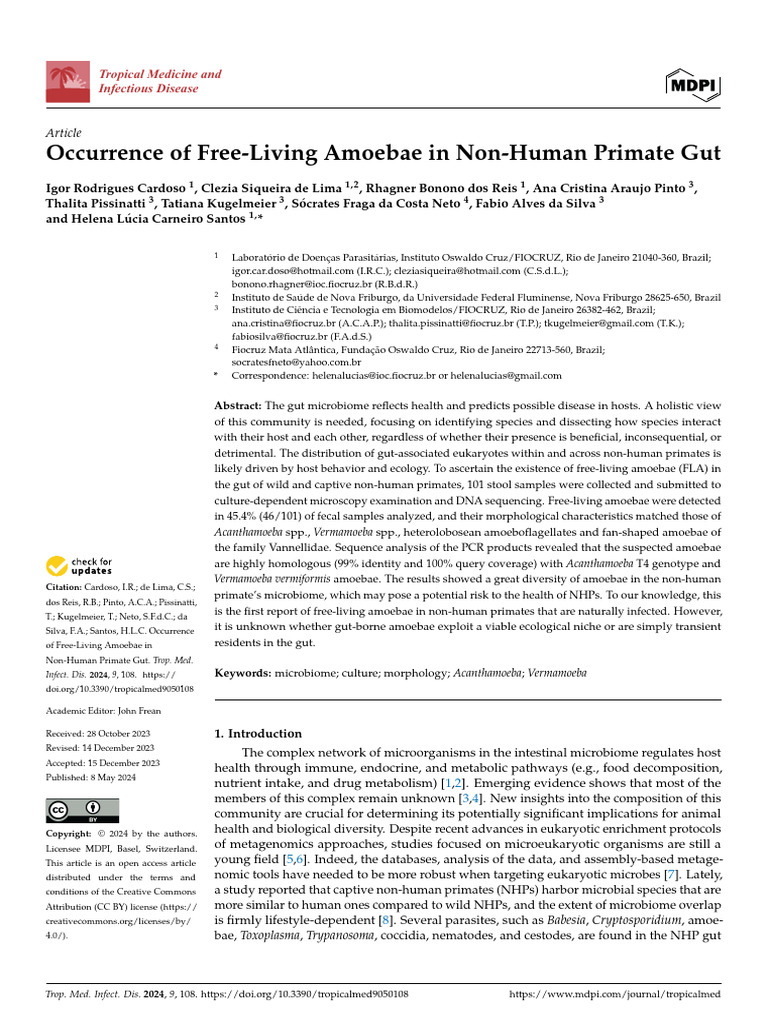 Amoebae - Occurance of FLA in Non Human Primite Gut | PDF