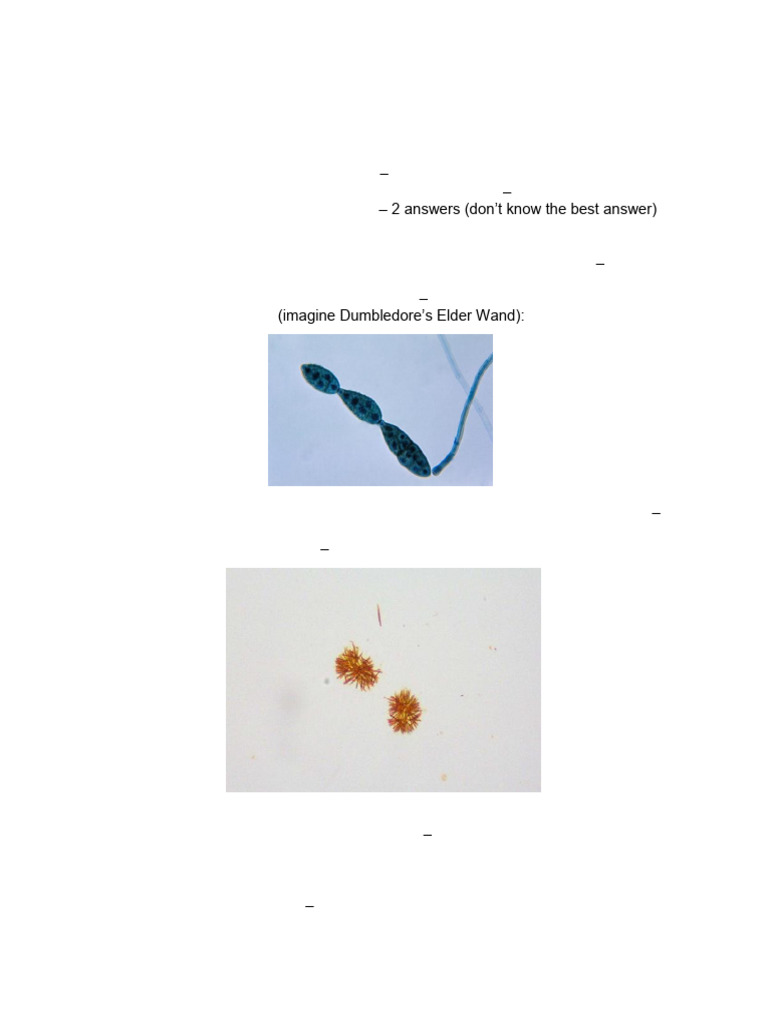 Ascpi Leak PDF Free | PDF