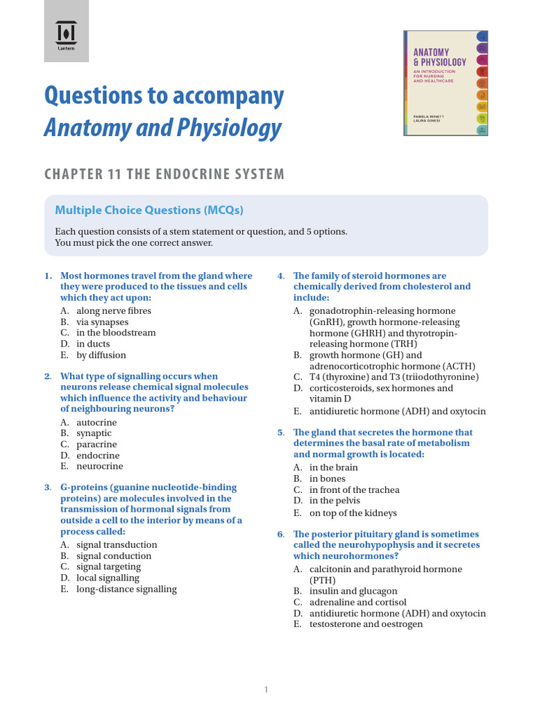 Self-Assessment Questions Chapter 11 The Endocrine System | PDF