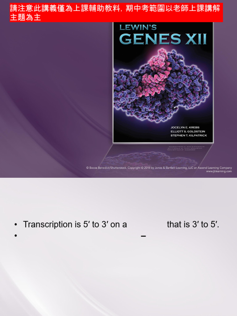 112-2 Molecular Biology 2023-03-13 Ch17 HLT | PDF