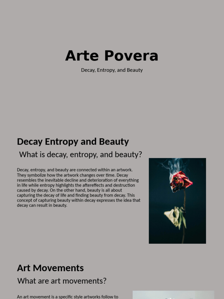 Decay, Entropy, and Beauty Investigation | PDF