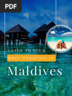 Airline Name Format | PDF