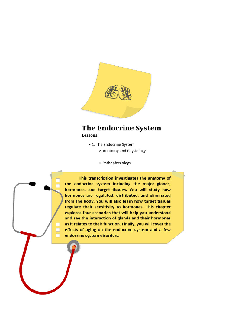 HAPP New Module Trans 12 | PDF