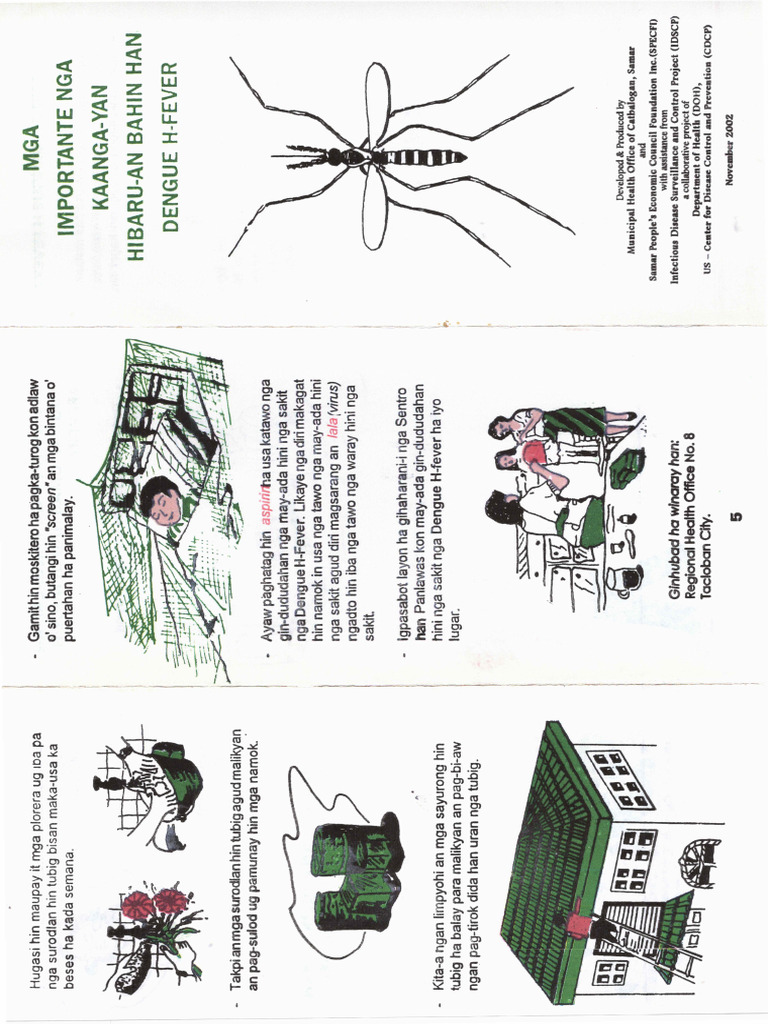 Dengue Pamphlet 2 | PDF