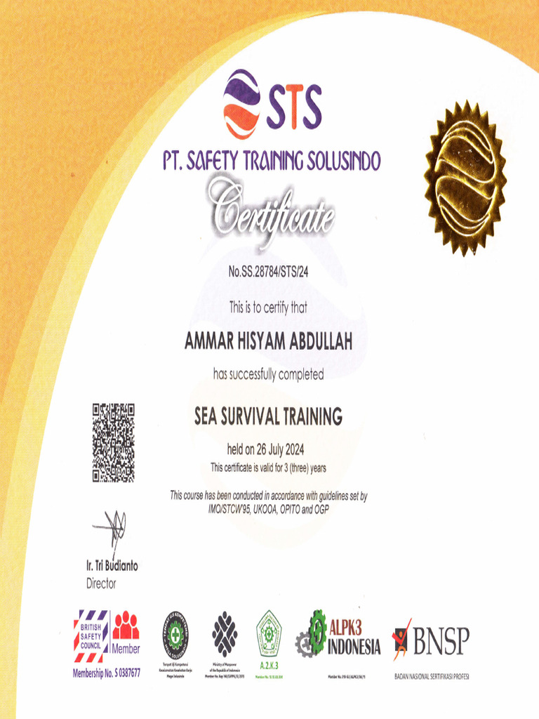 BSS - AMMAR HISYAM ABDULLAH | PDF