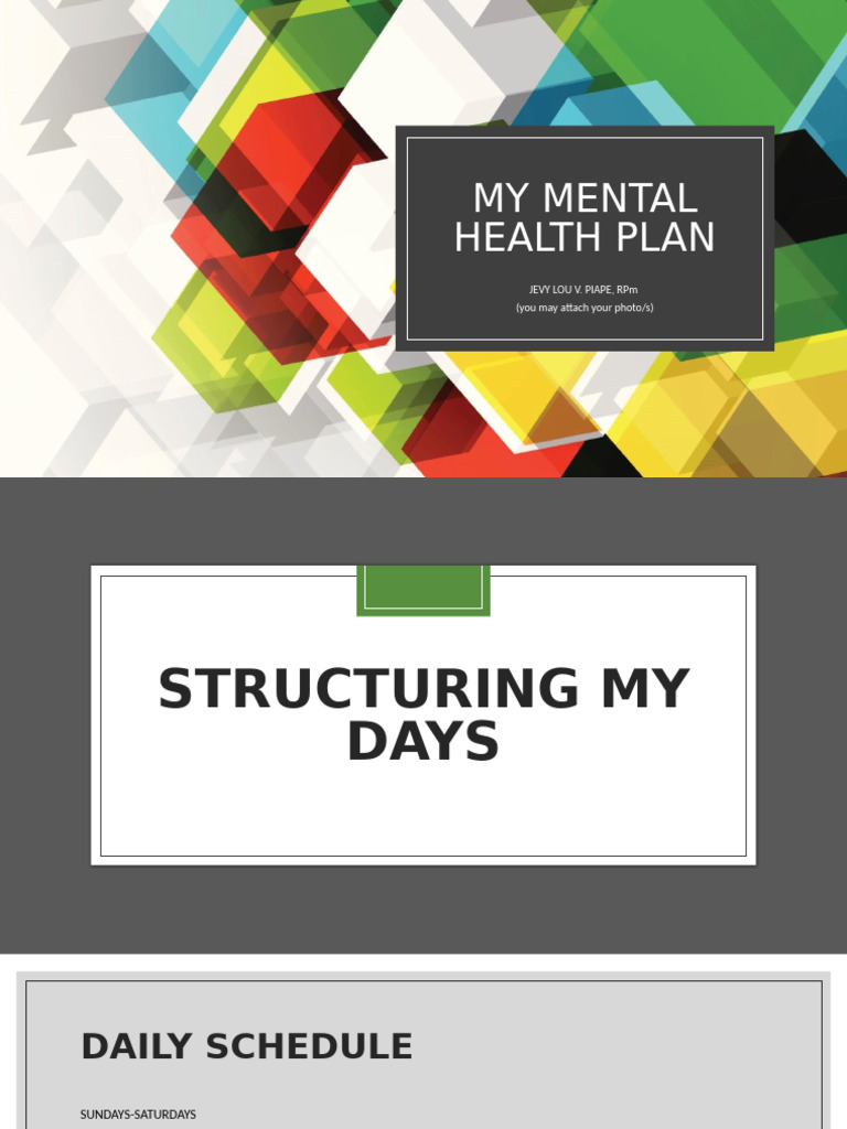 Mental Health Plan - Sample | PDF