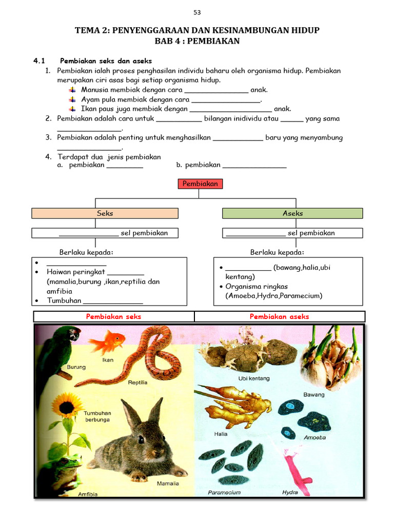 Bab 4 Pembiakan | PDF