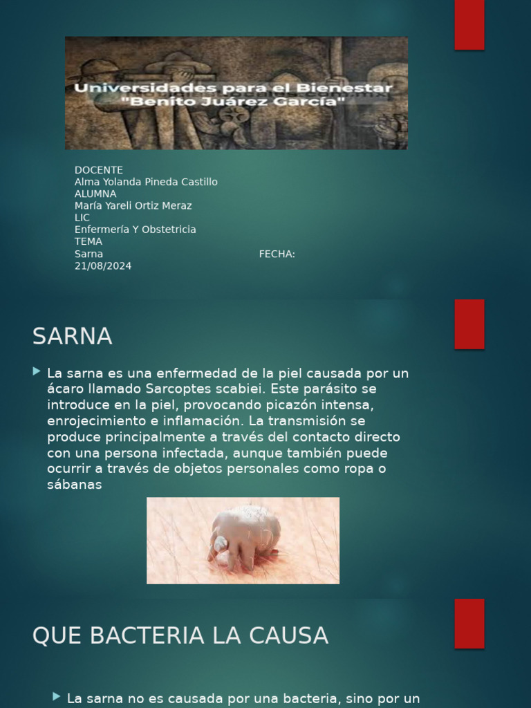 Sarna | PDF