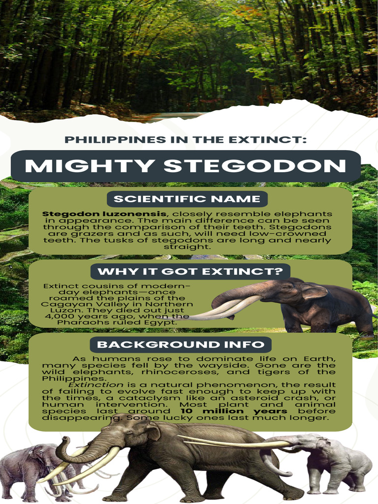 extinct infographics | PDF