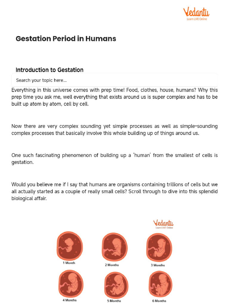 Gestation Period in Humans | PDF