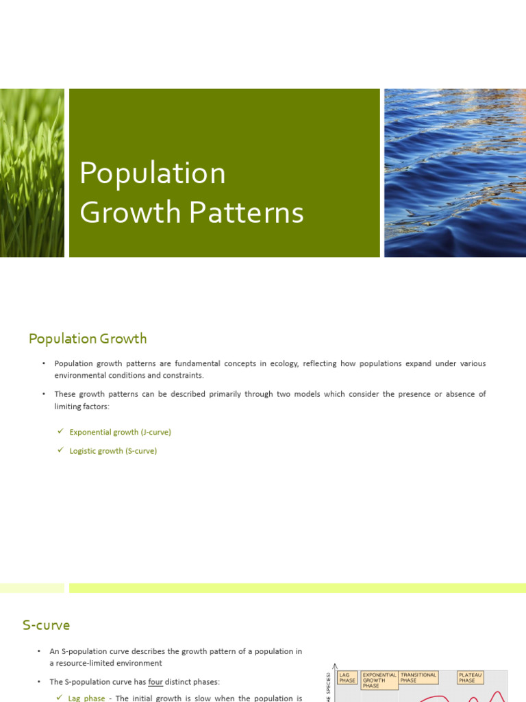 Population Growth Patterns | PDF