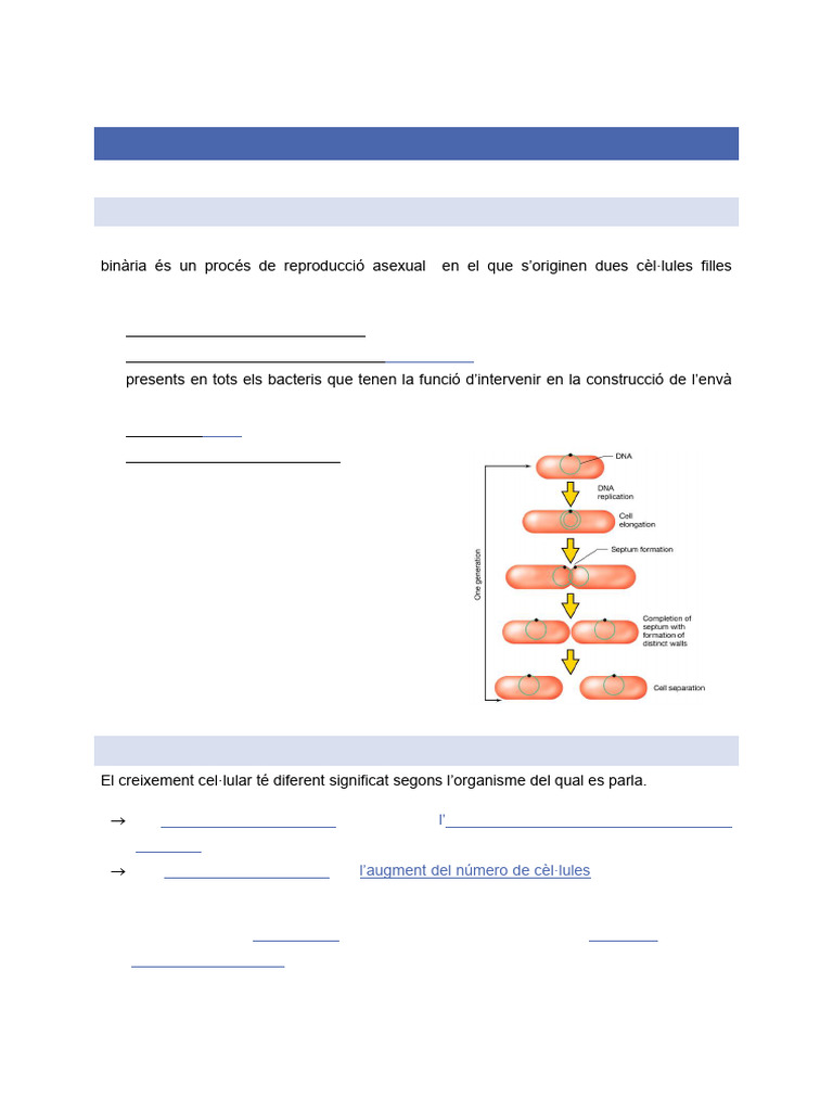 Tema 3. Control I Creixement | PDF