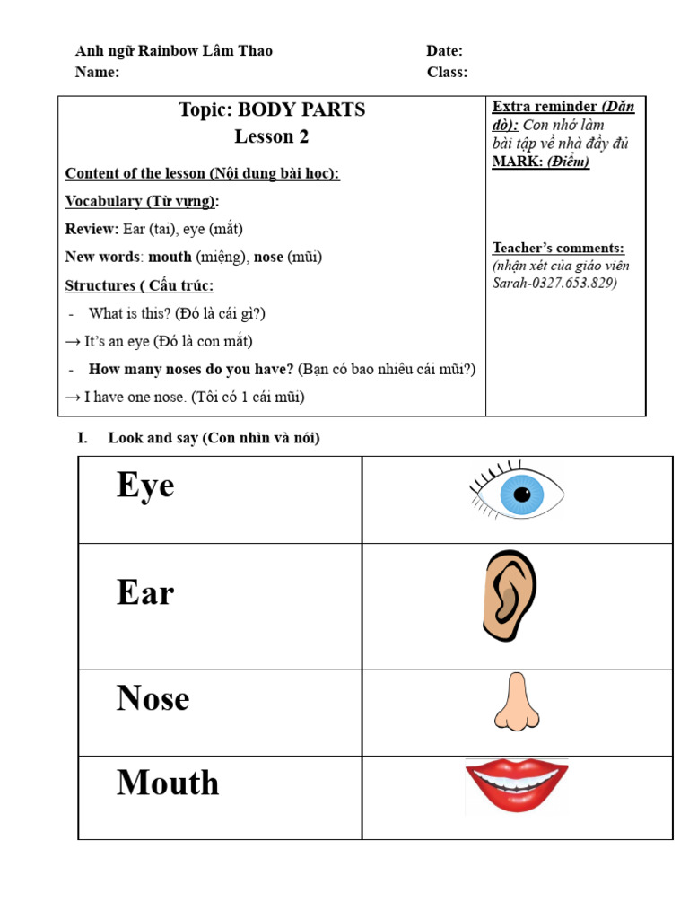 Body Parts 2 | PDF
