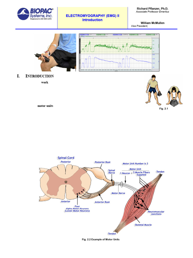 L02 Introduction | PDF
