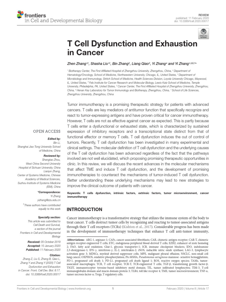 T Cell Dysfunction and Exhaustion in Cancer | PDF