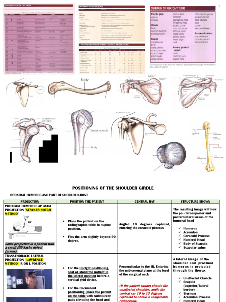 Girdle | PDF