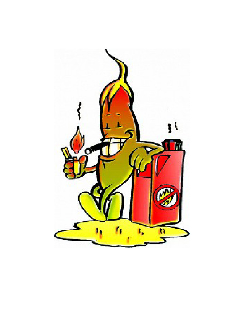 Bonanza Playing Guide | PDF