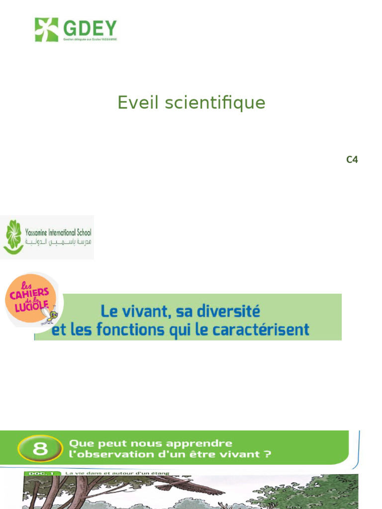 C4 - PPT 1 - Gdey | PDF