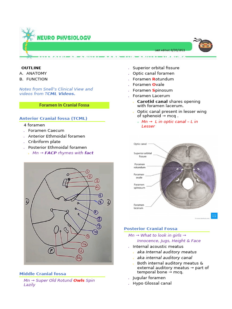 02 - Anterior Middle Post Cranial Fossa - FCPS Part 1 - Anatomy | PDF