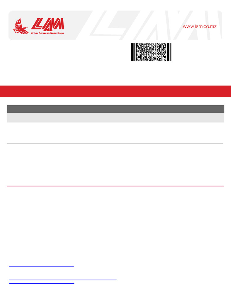 ELSA LEAL - RYYLVU - Seu Recibo de Bilhete-EMD Passenger Name - PNR ...