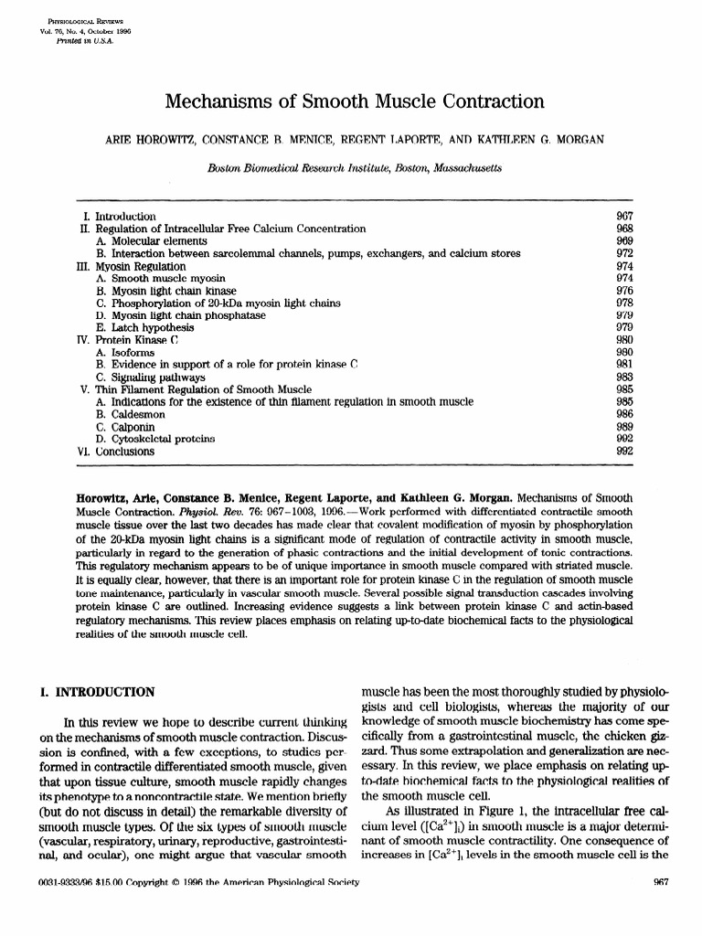 Mechanisms of Smooth Muscle Contraction | PDF