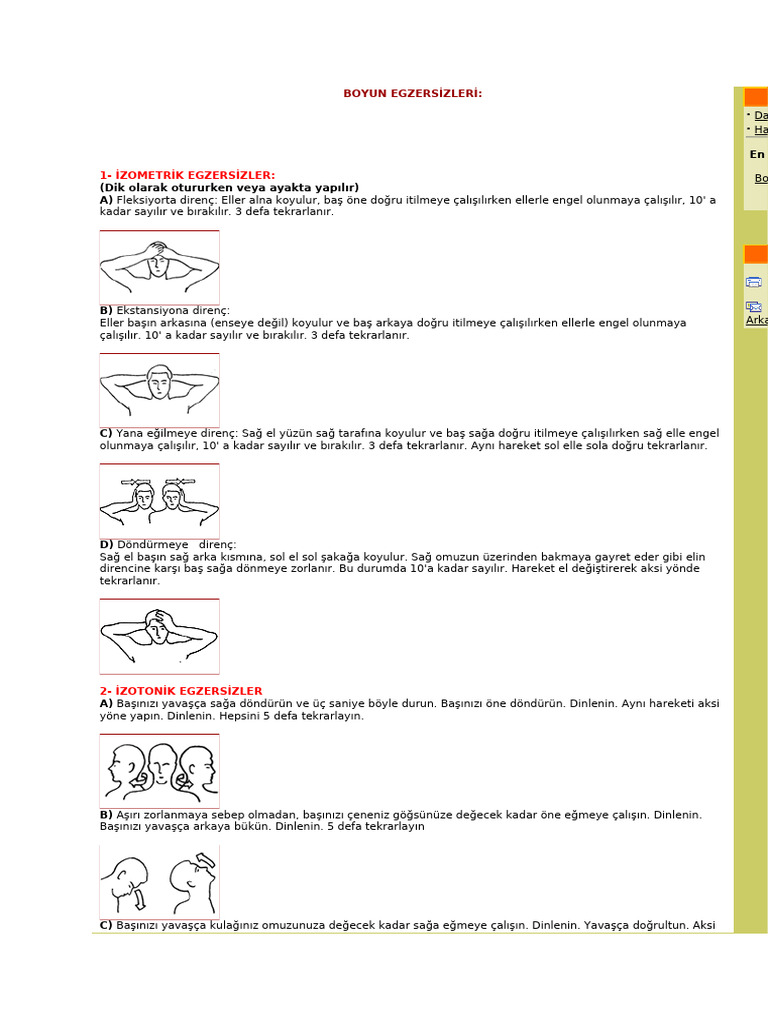 boyun-omuz-sırt egz | PDF