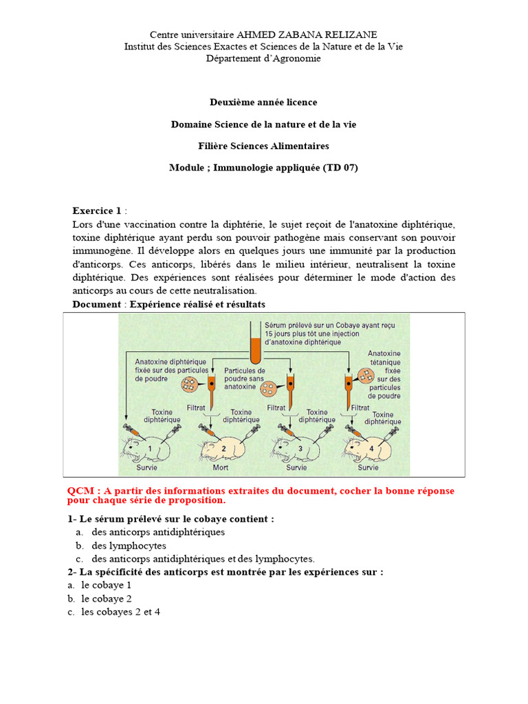 TD7 Immunologie | PDF