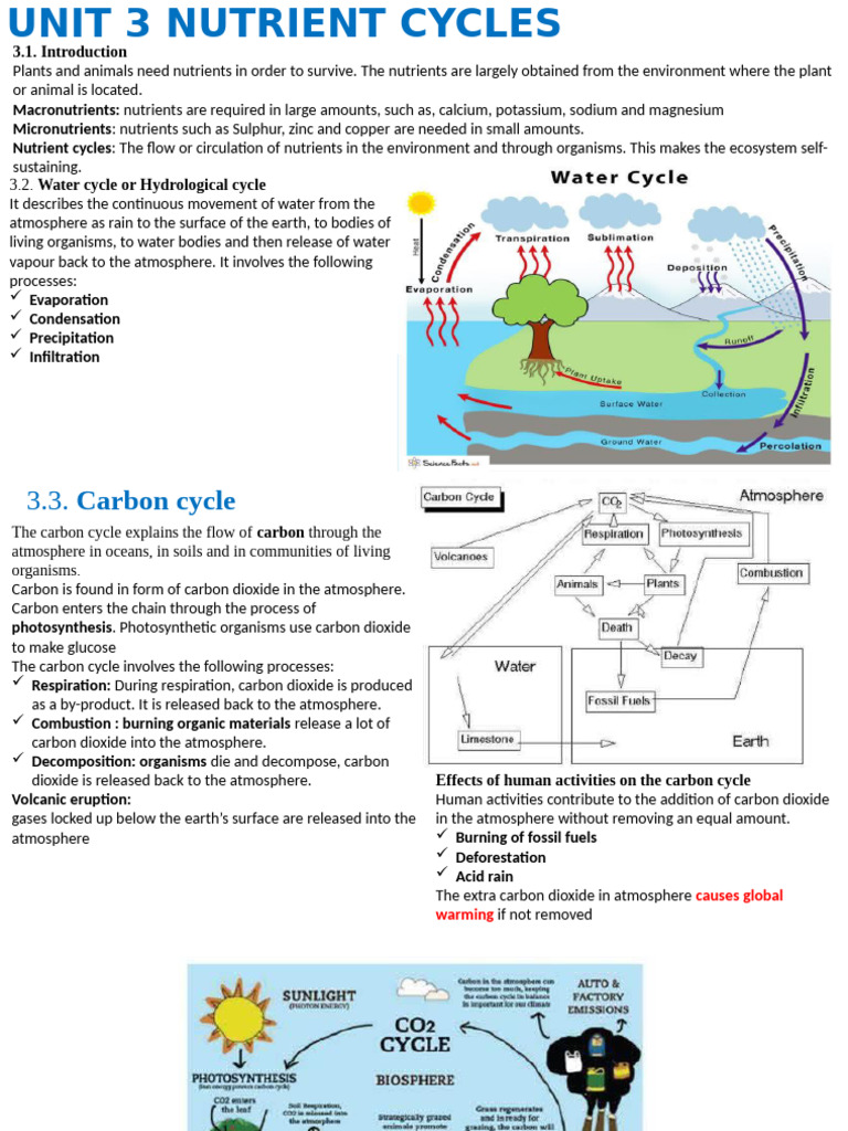 Unit 3 Nutrient Cycles | PDF
