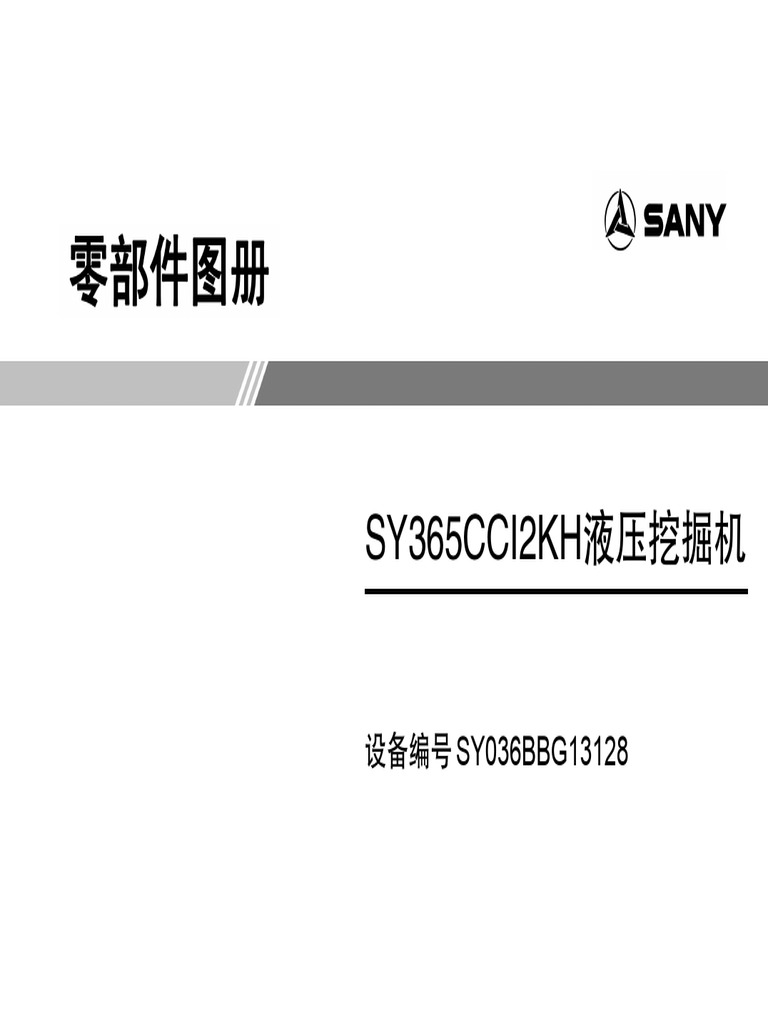 SY036BBG13128 - ZH (SY365) | PDF
