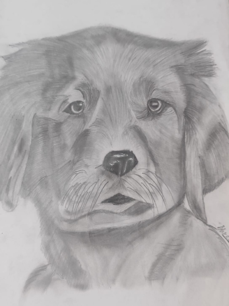 PDF_img2pdf_03Oct24_0232 | PDF