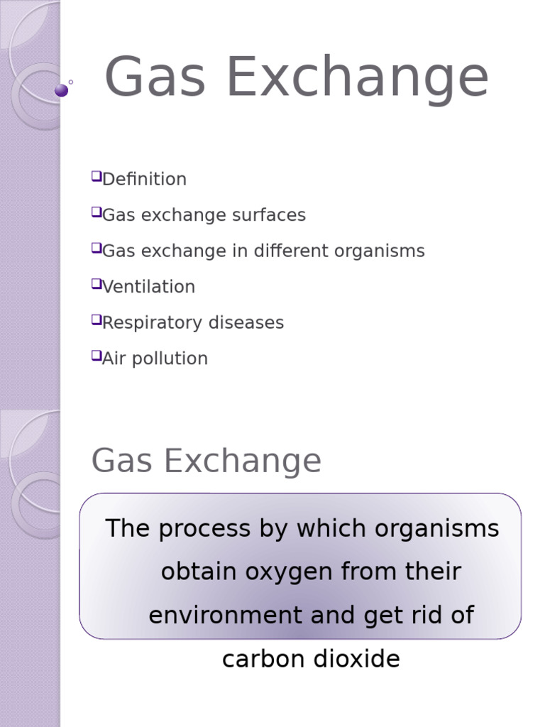 2 B. Gas Exchange | PDF
