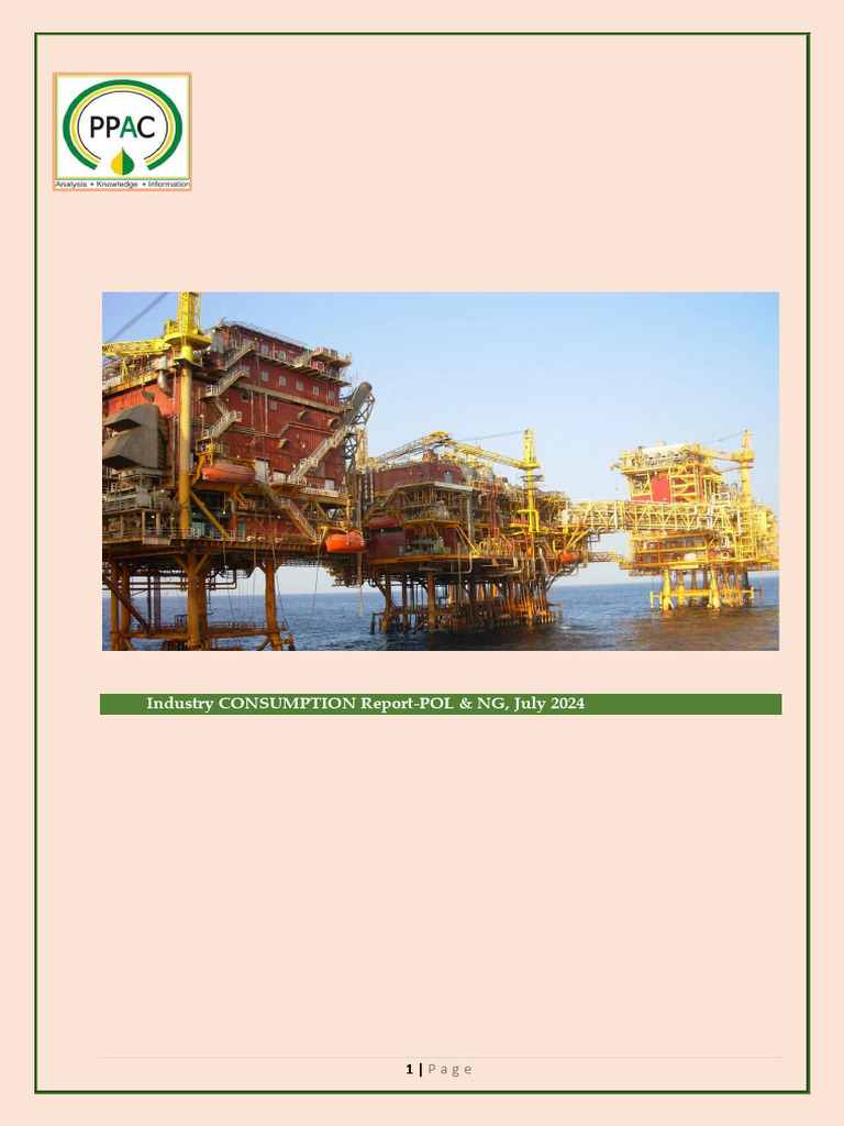 Industry CONSUMPTION Report-POL & NG, July 2024 | PDF